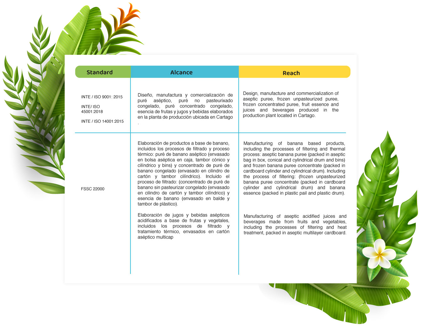 Banana Products – Paradise Ingredients